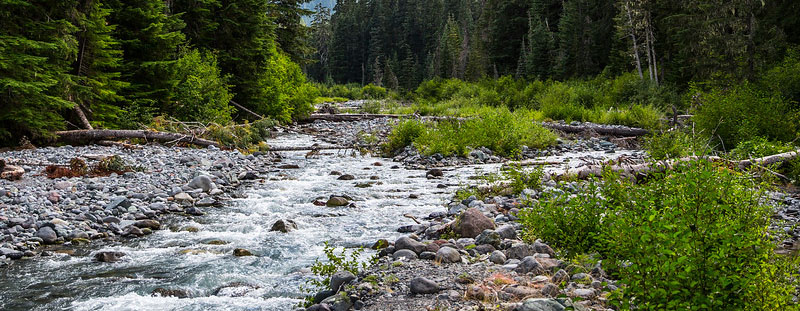 Future Rivers (2020-2025) | EarthLab